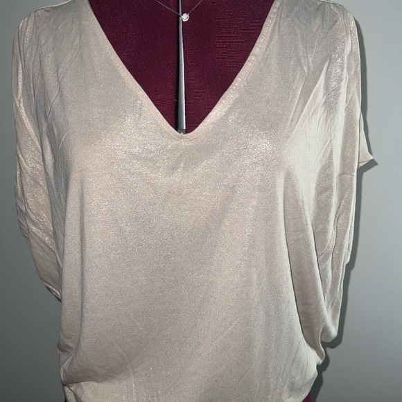 Express | Tops | Express Champagne Shimmer Womans Topshirt Size M ...